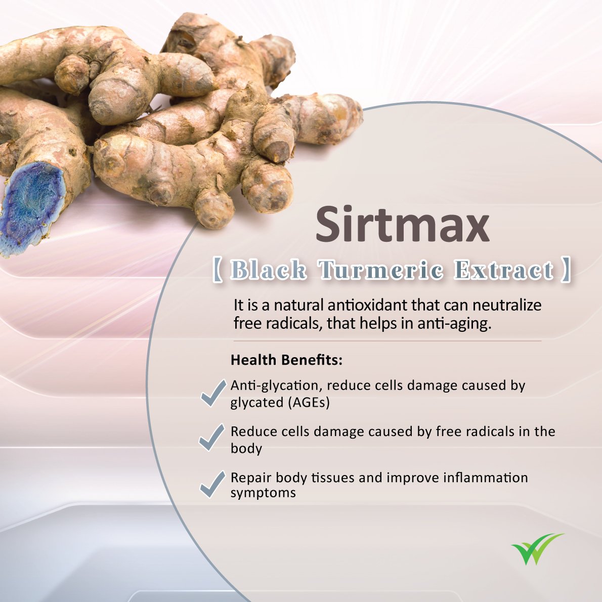 Liveon | Atome Installment | Wellous Malaysia